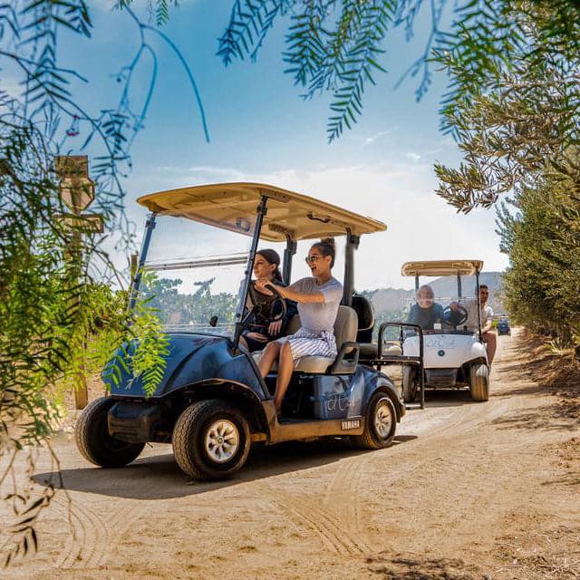 Golf Cart Tour and Tasting | Vinos El Cielo